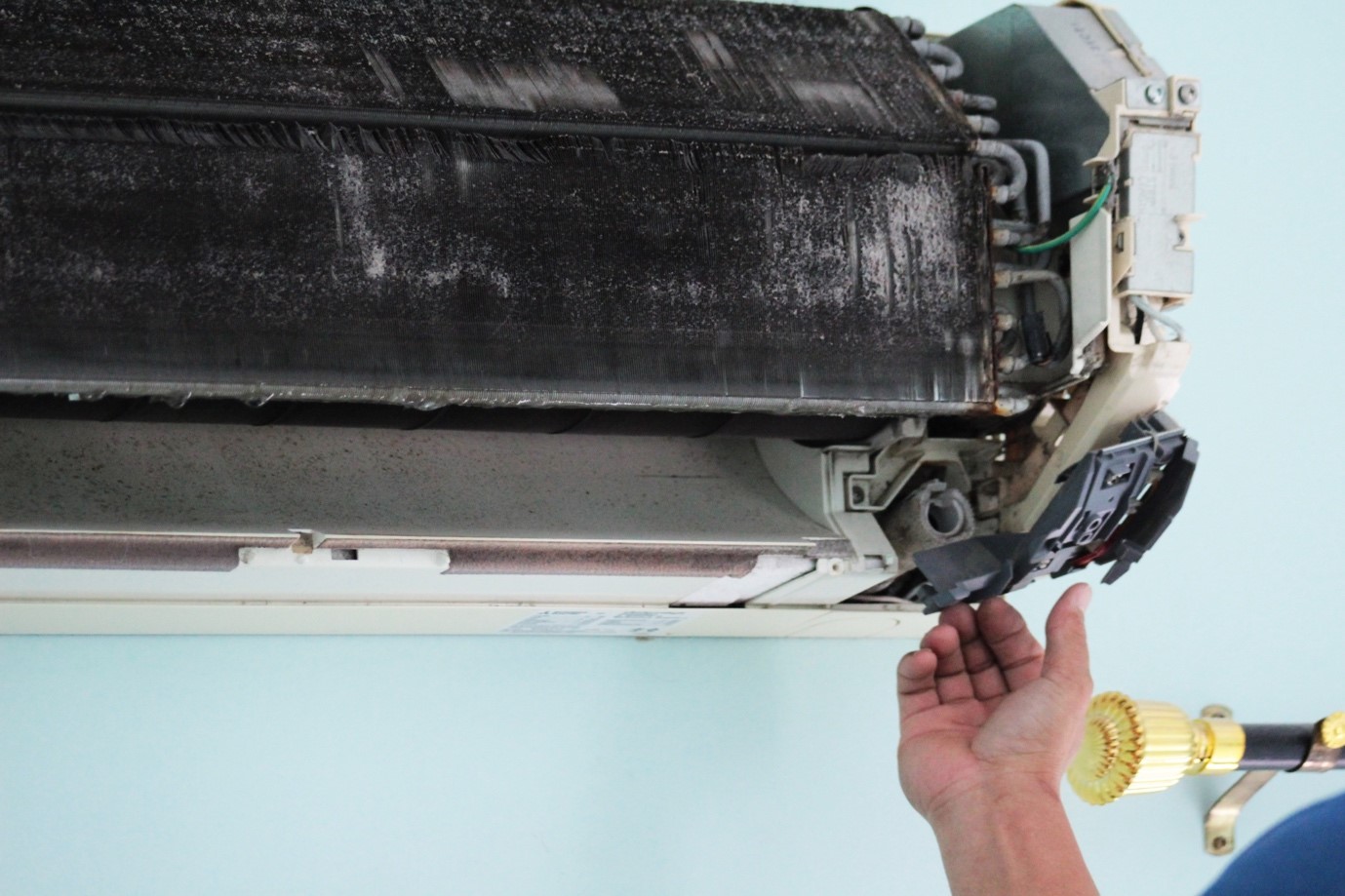 Mould could be growing on your Air Conditioner - PassionAir